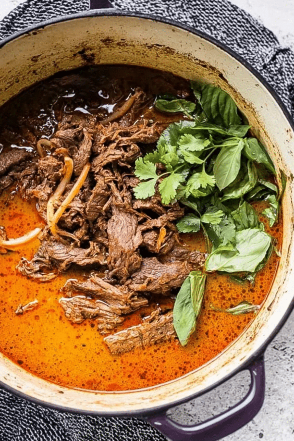 Coconut Red Curry Drip Beef – Easy & Flavorful Recipe - Yummy Temple