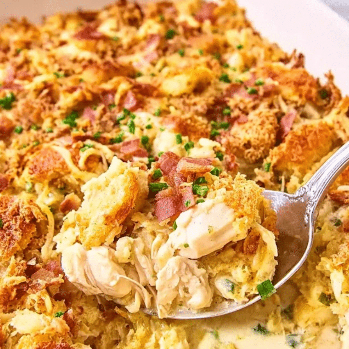 Neiman Marcus Chicken Casserole – Best Creamy Bake - Yummy Temple
