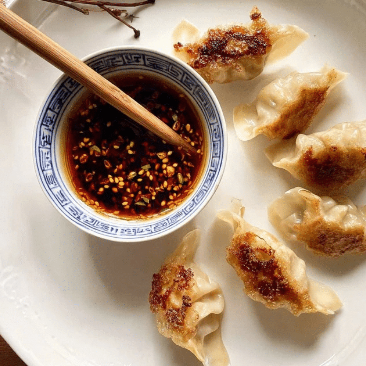 Japanese Gyoza Dipping Sauce - Yummy Temple